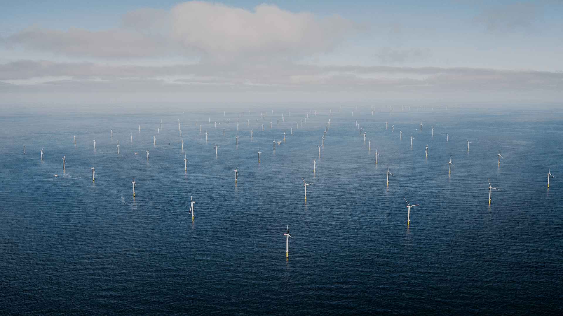 Wind op zee | Zeeland.com